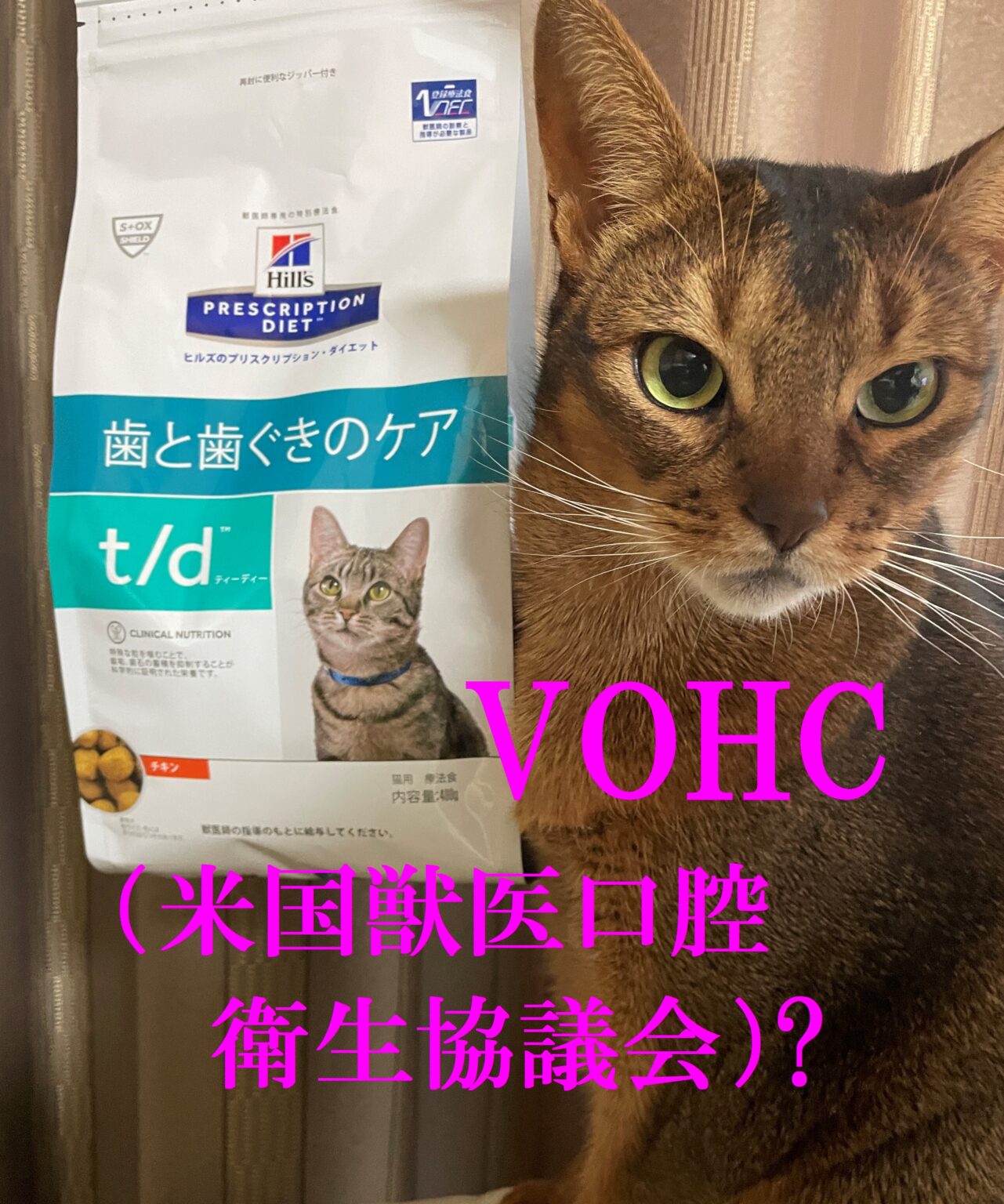 VOHC（米国獣医口腔衛生協議会）って？ - キャットシッターゆるねこ